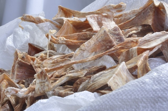 Cuajar vacio seco